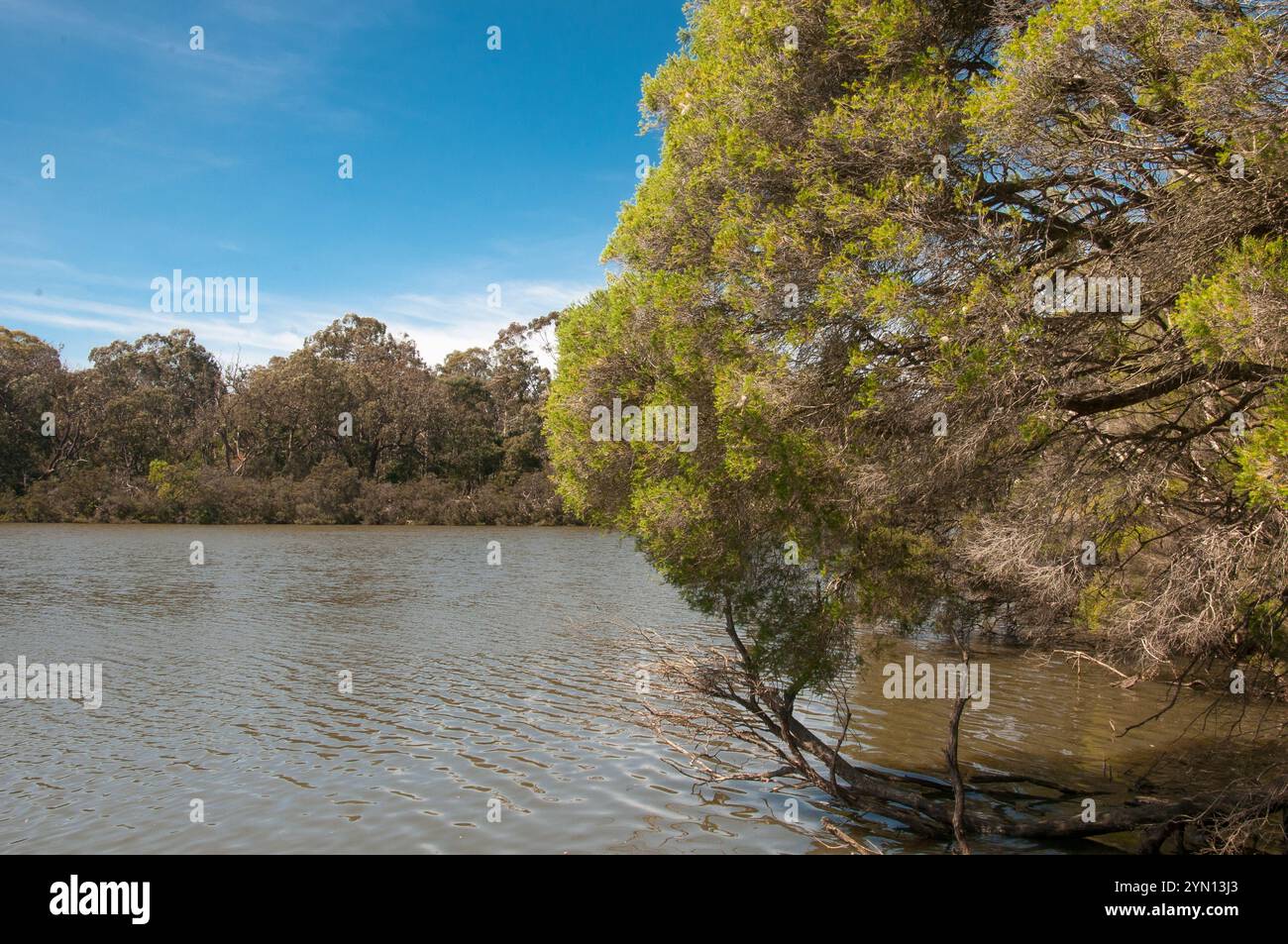 Blackburn lake sanctuary hi-res stock photography and images - Alamy