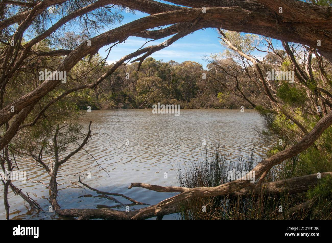 Blackburn lake sanctuary hi-res stock photography and images - Alamy