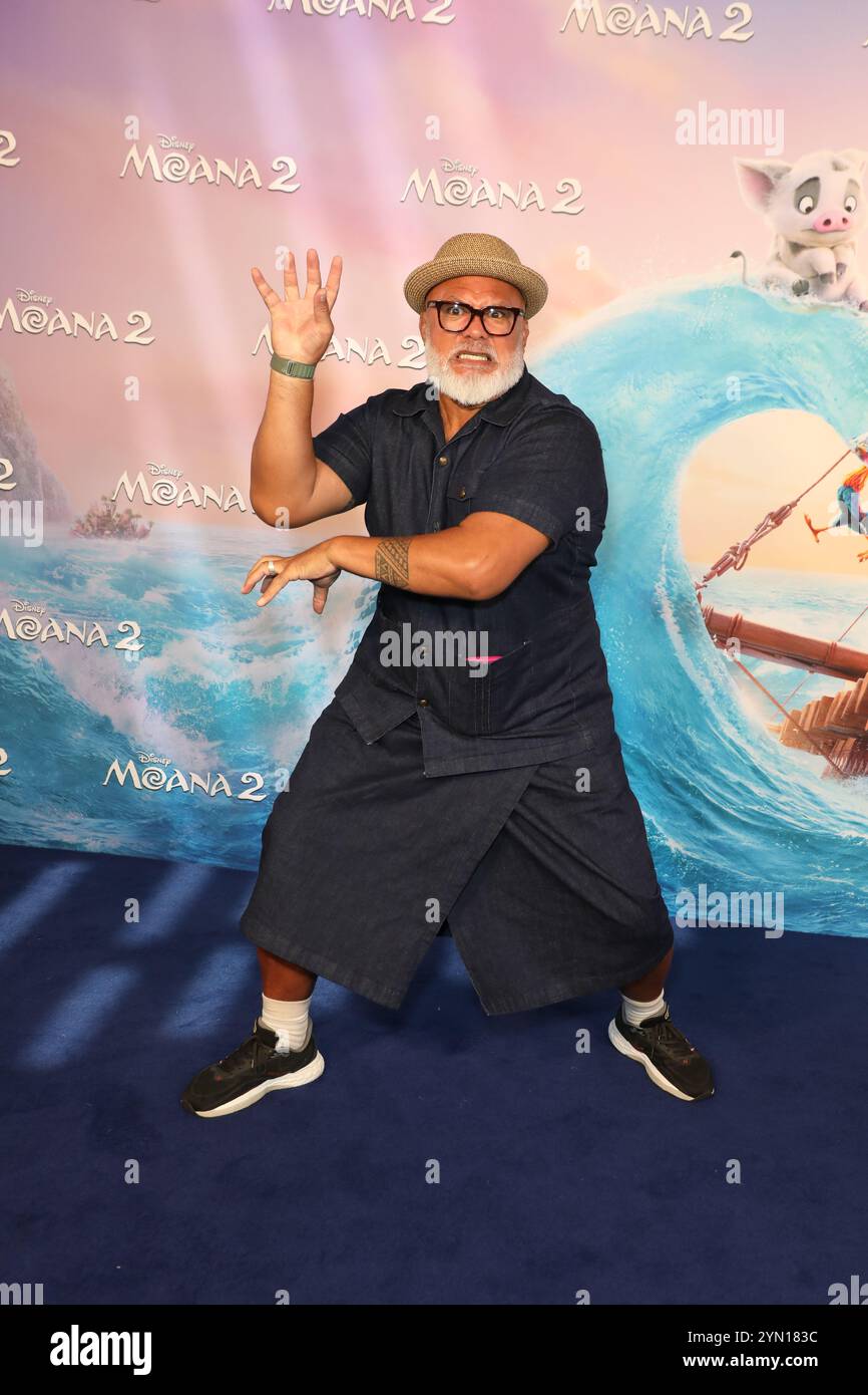 Sydney, Australia. 24th November 2024. David Fane attends the ...