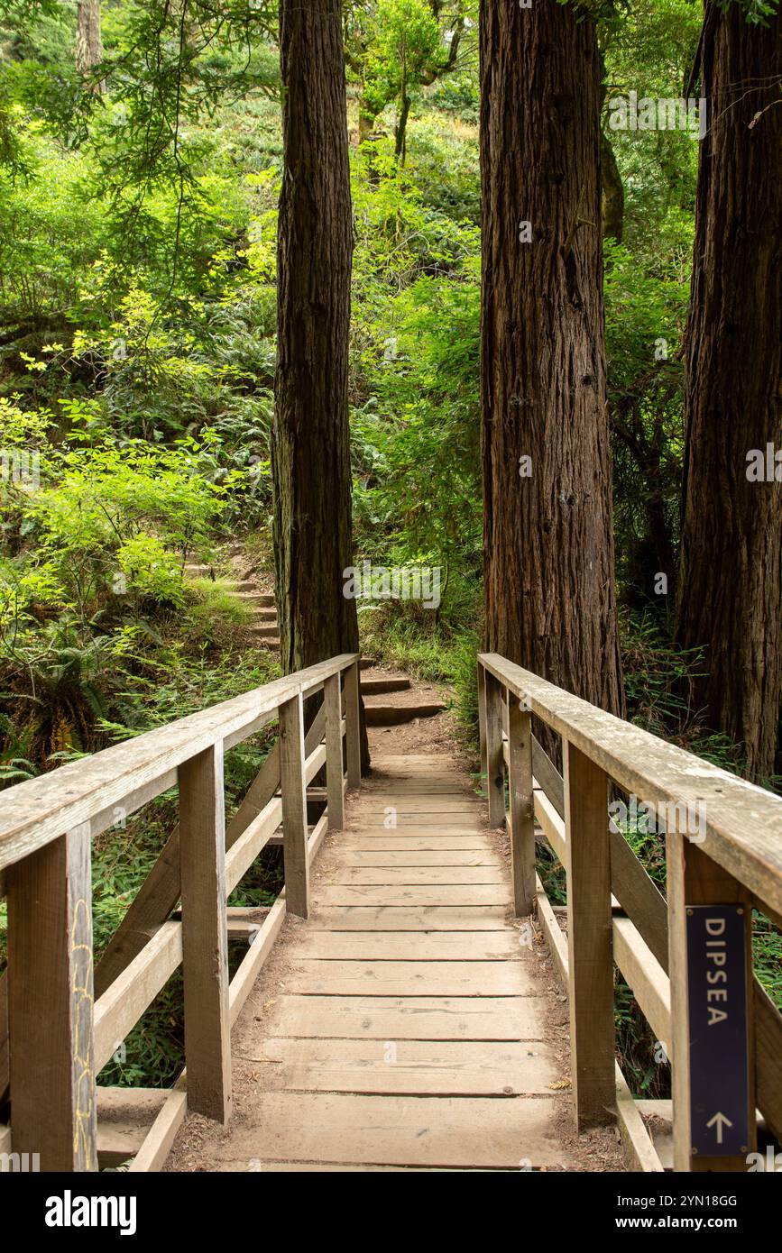 Bridge and sign indicating the Dipsea Trail in Marin County, featuring ...