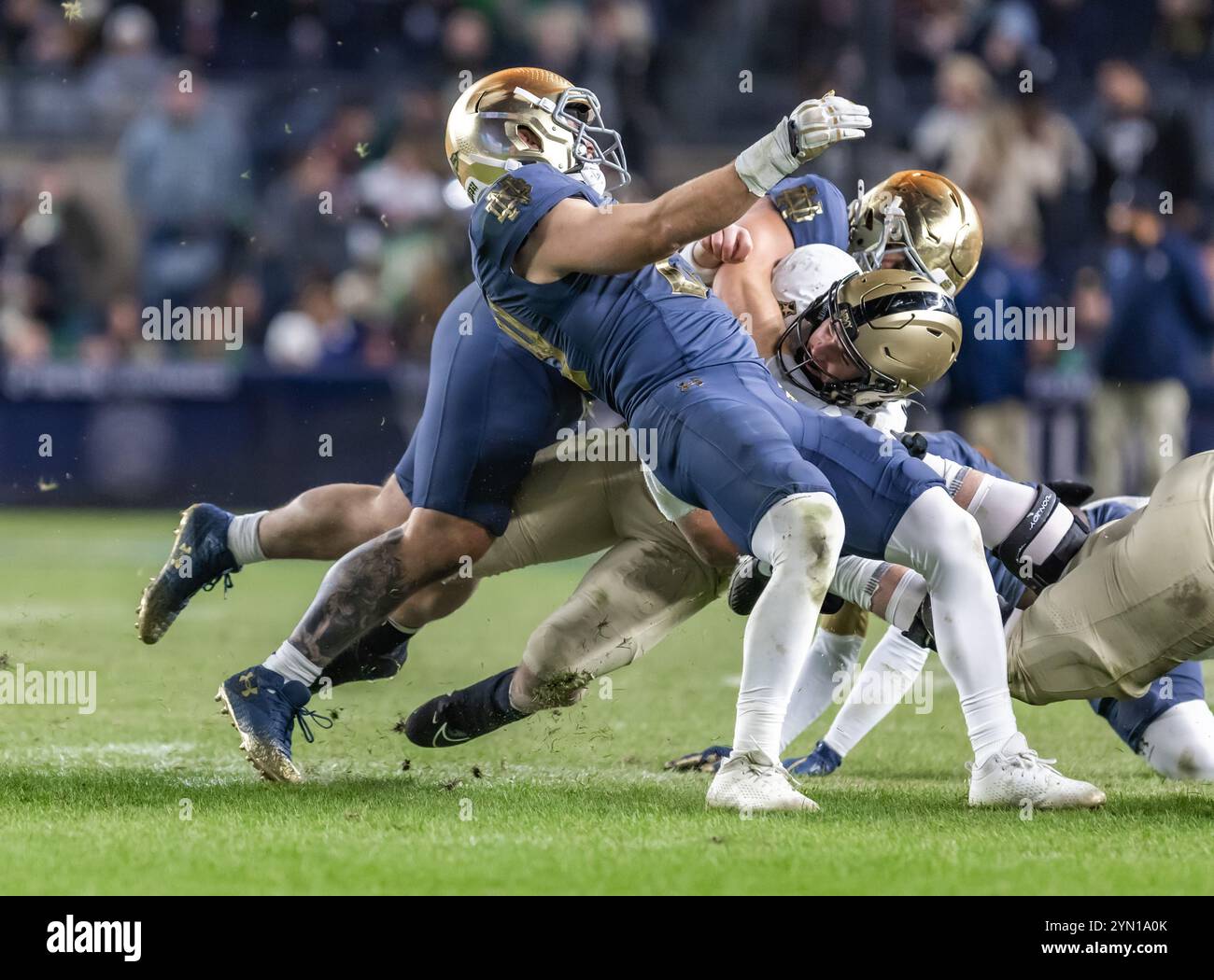 November 23, 2024, Bronx, New York, USA: The Army Black Knights BRYSON ...