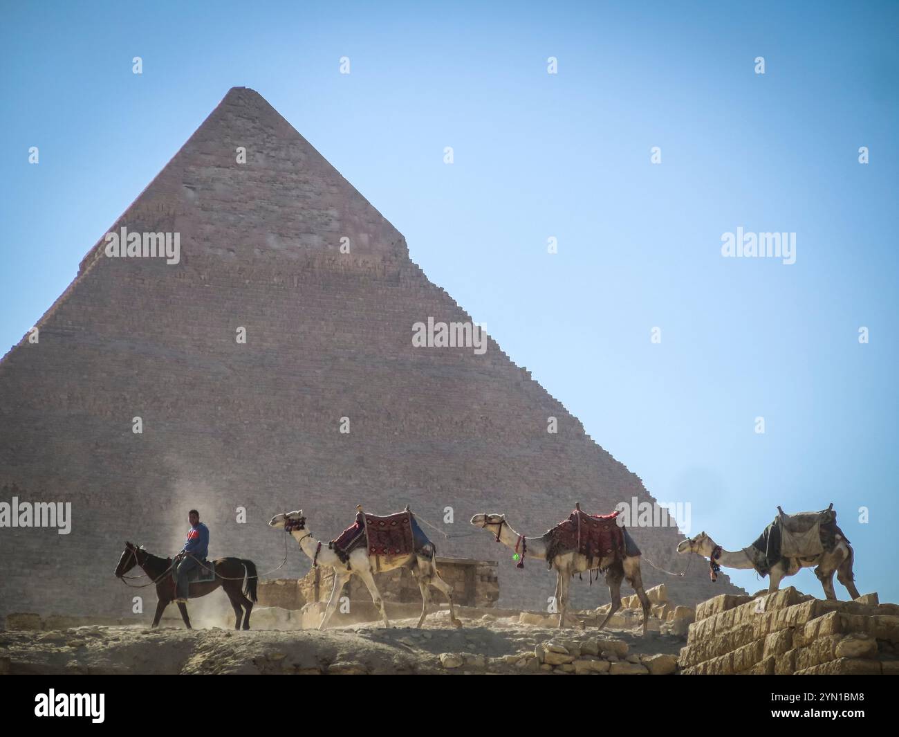 Ancient egyptian pharaoh horse hi-res stock photography and images - Alamy