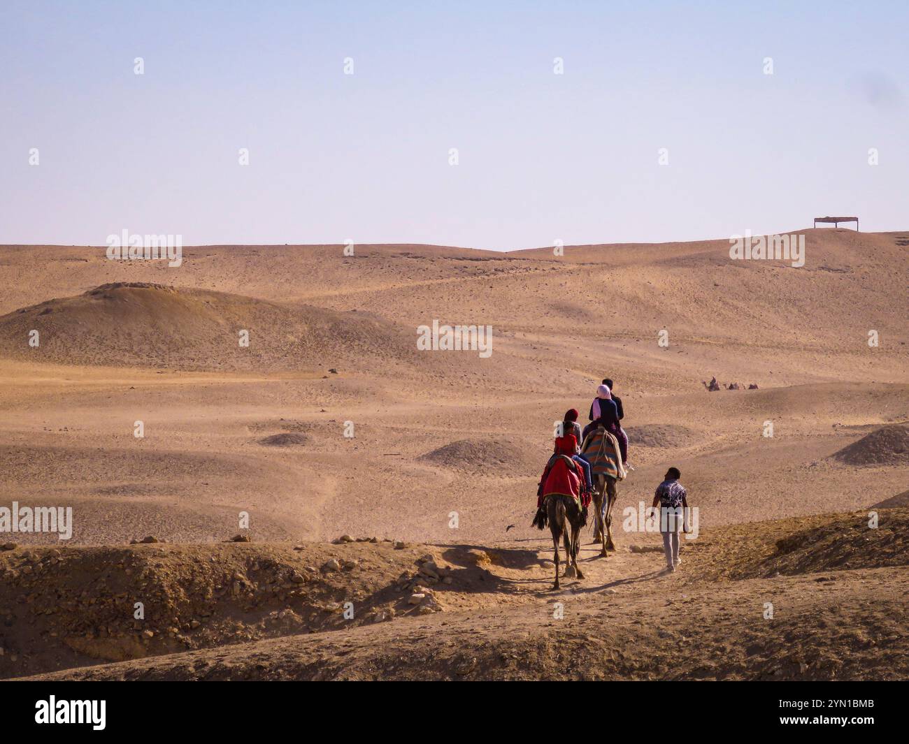 A group of people riding camels in a desert. One of the camels is ...