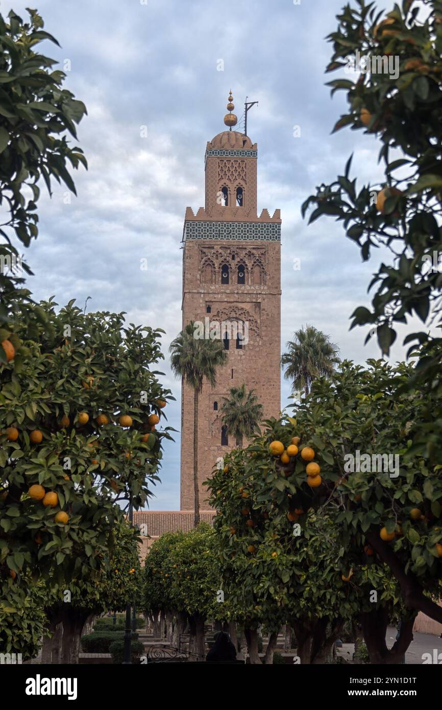 Tower among trees hi-res stock photography and images - Alamy