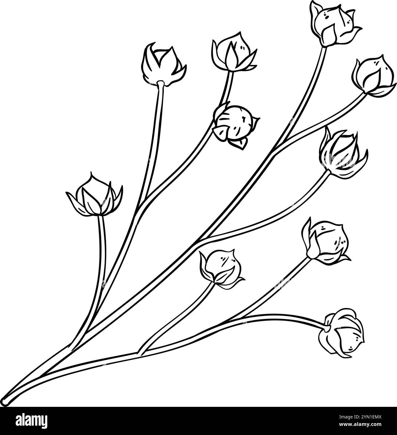 Drawing of flax hi-res stock photography and images - Alamy