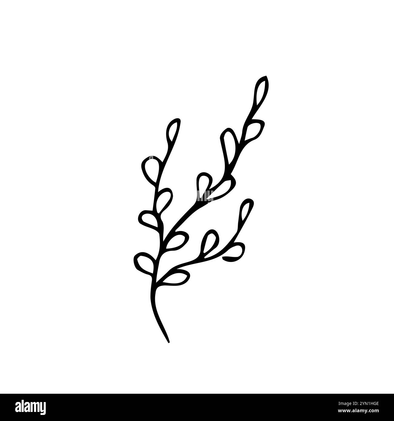 Hand drawn tree branches,vector doodle botanical element Stock Vector ...