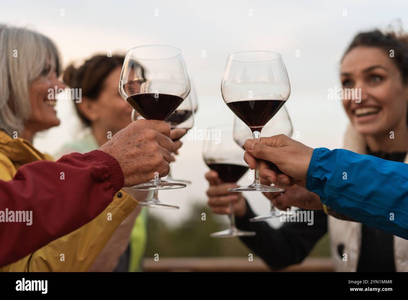 Detail shot focusing on hands holding wine glasses during toast ...