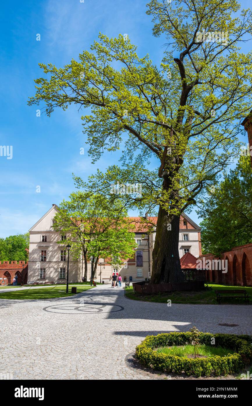 Frombork, Poland 30 April 2024 visiting the old ton of Frombork, city ...