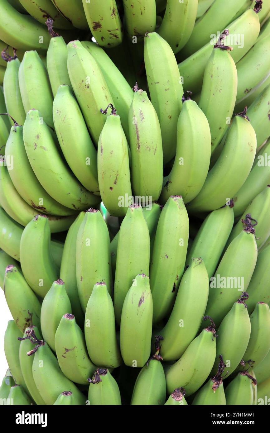 Bunches of unripe banana at outdoor market stall Stock Photo - Alamy