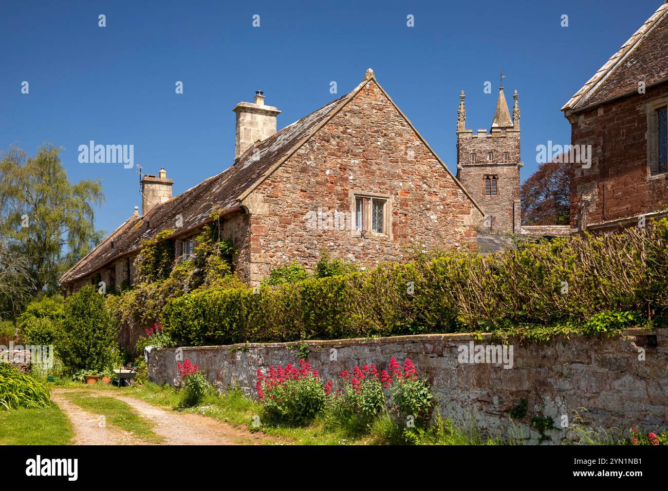 UK, England, Somerset, Quantocks, Cothelstone, estate cottages beside ...