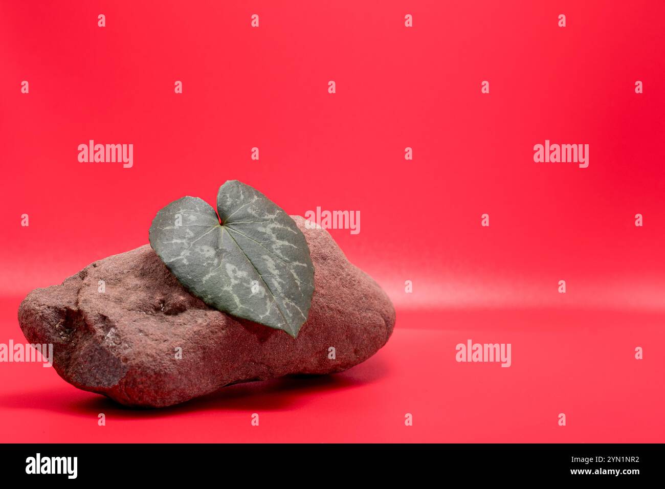 Natural Balance: Red Background with River Stone and Green Leaf of ...