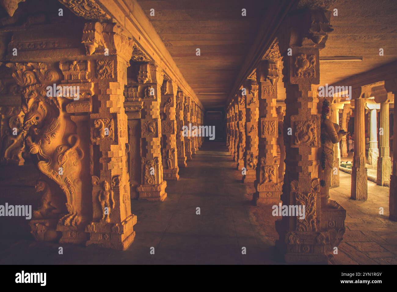 Beautifully carved pillars in a South Indian temple corridor ...