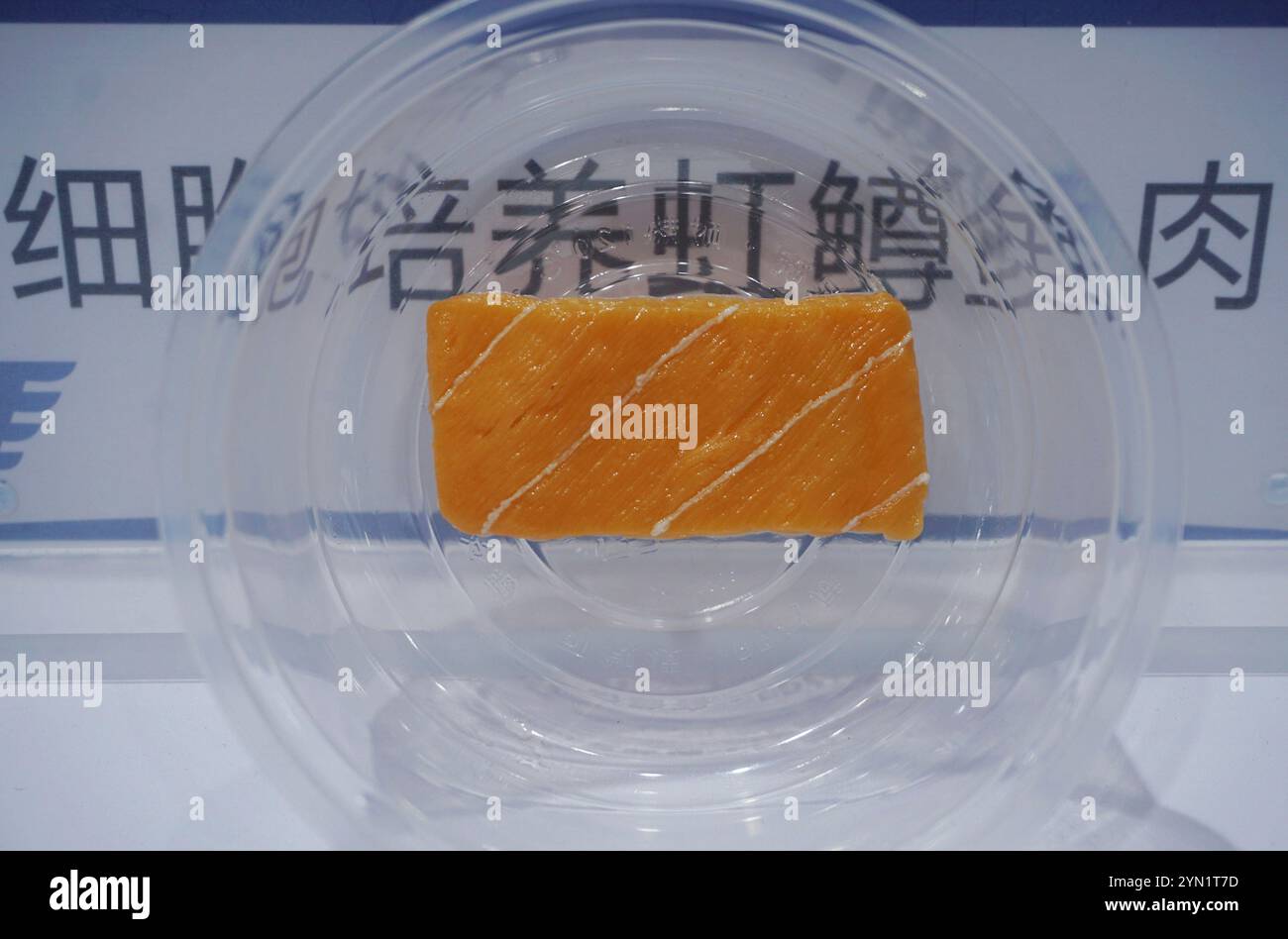A piece of lab-grown rainbow trout meat during an agricultural expo in ...