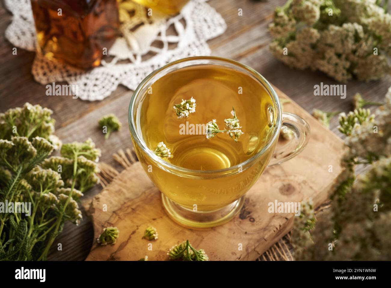 Yarrow tea in cup hi-res stock photography and images - Alamy
