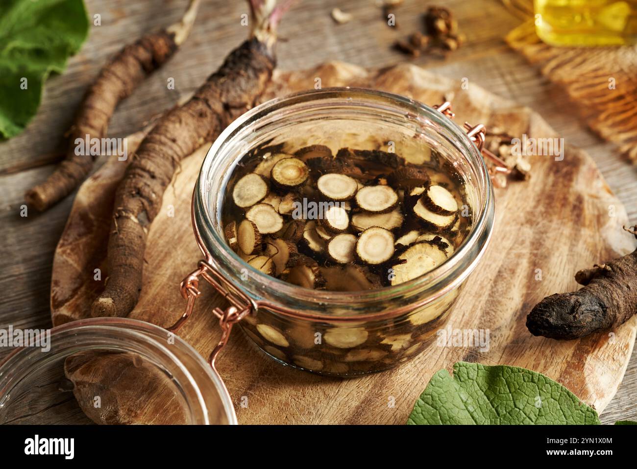 Preparation of herbal tincture from fresh sliced burdock root in a ...
