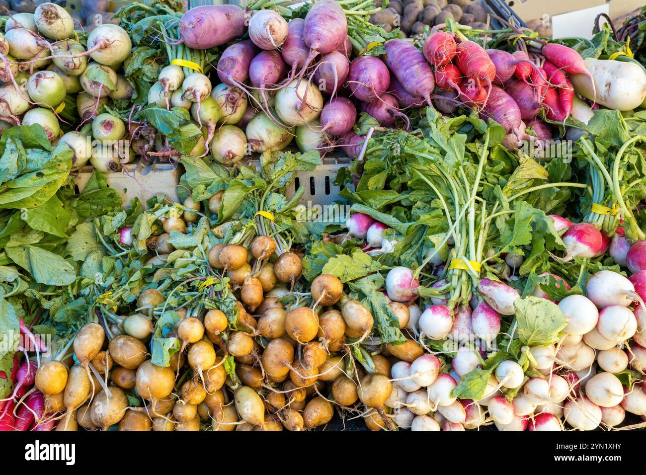 Various root vegetables in hi-res stock photography and images - Alamy