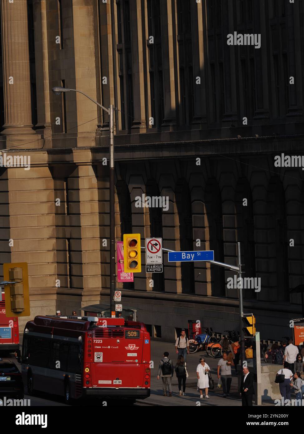 Toronto Canada / A TTC Bus on Bay Street, Downtown Toronto Stock Photo ...