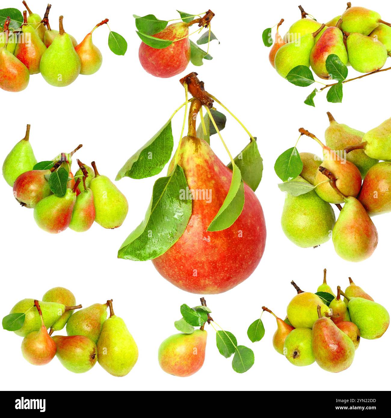 Collection (set) of pears with stem and green leaf. Isolated over white Stock Photo - Alamy