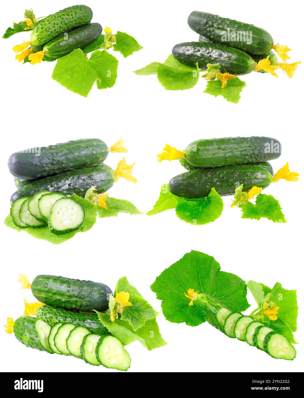 Collage (collection )of Cucumbers on white background with green leaf ...