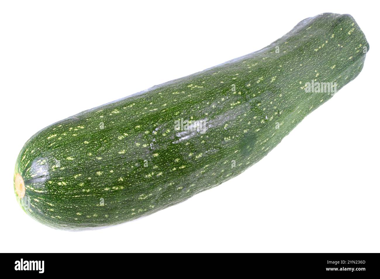 Courgette flower on black hi-res stock photography and images - Alamy