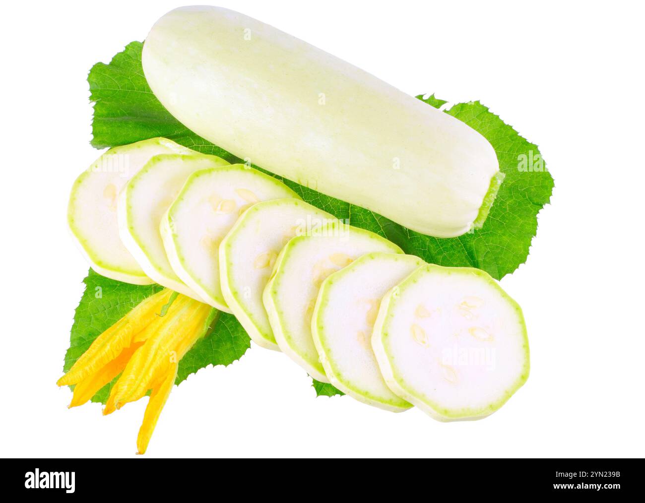 White vegetable marrow with green foliage and yellow blossom on white ...