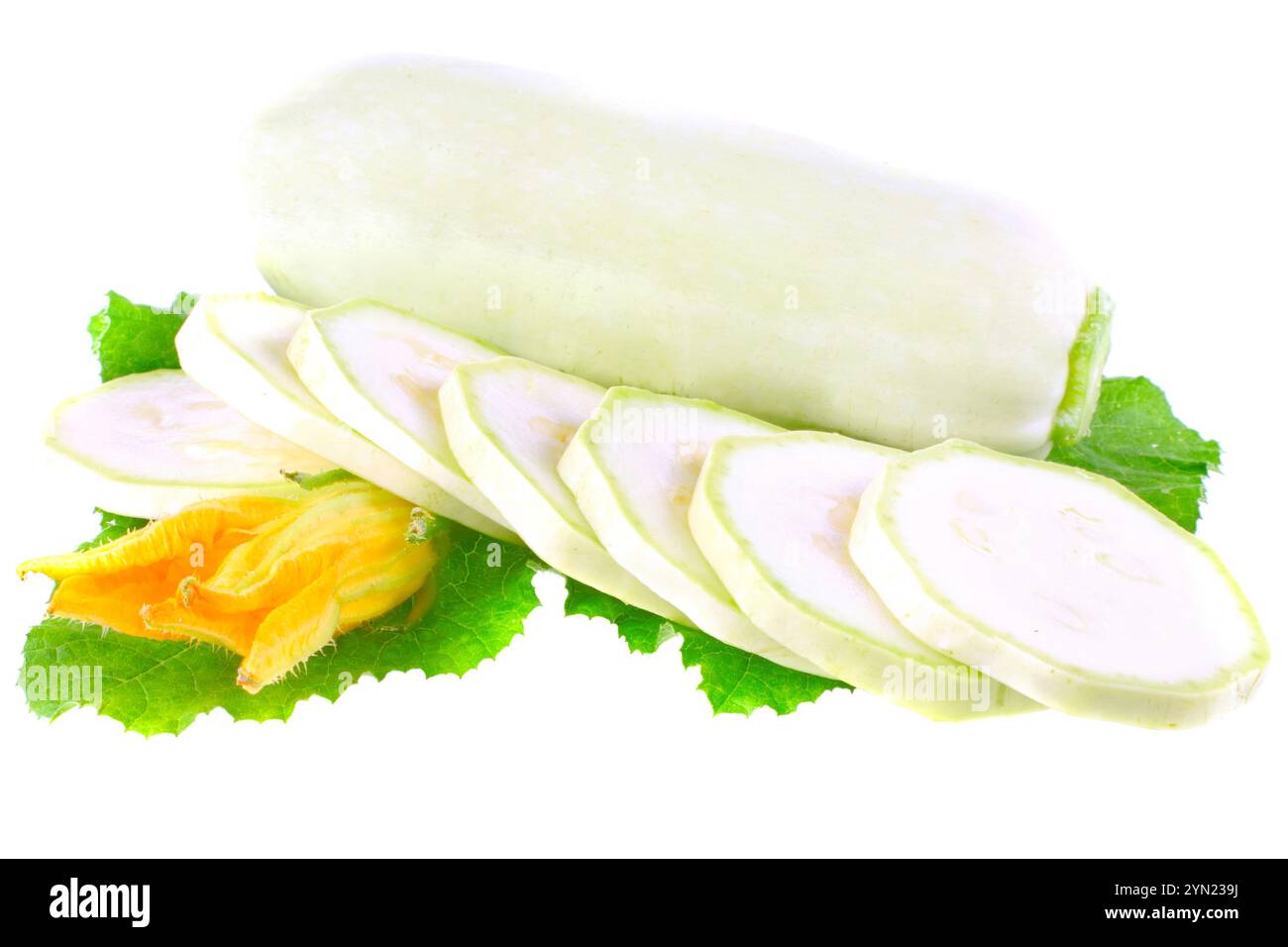 White vegetable marrow with green foliage and yellow blossom on white ...