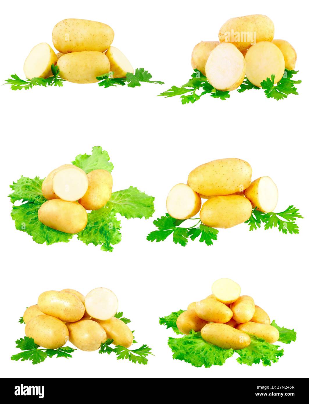 Collection(set) of young potatoes, decorating of parsley . Isolated ...