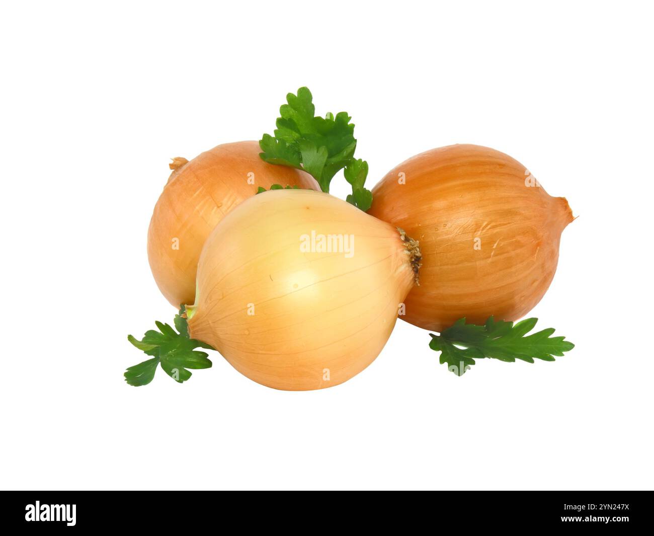 Onion decorating of parsley . Isolated over white Stock Photo - Alamy