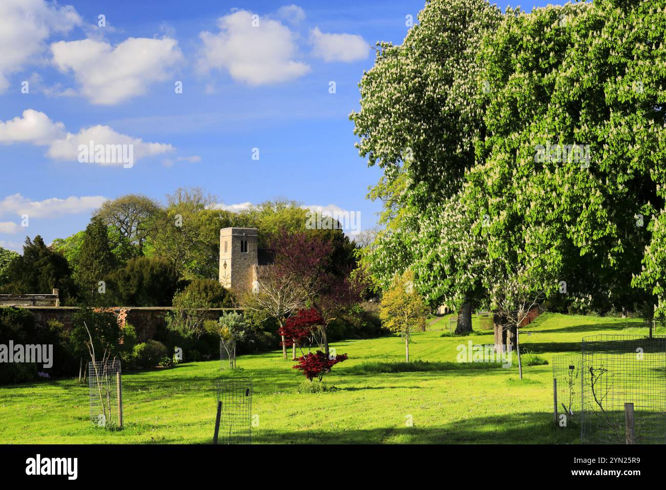 Summer view of the Holy Trinity Church, Blatherwycke village ...