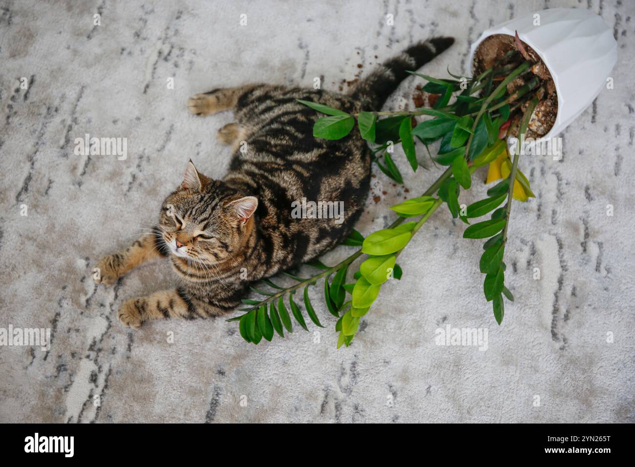 Overturned plant pot hi-res stock photography and images - Alamy