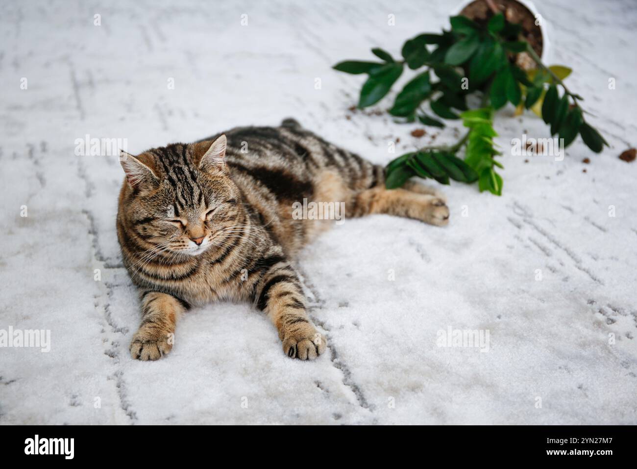Overturned plant pot hi-res stock photography and images - Alamy