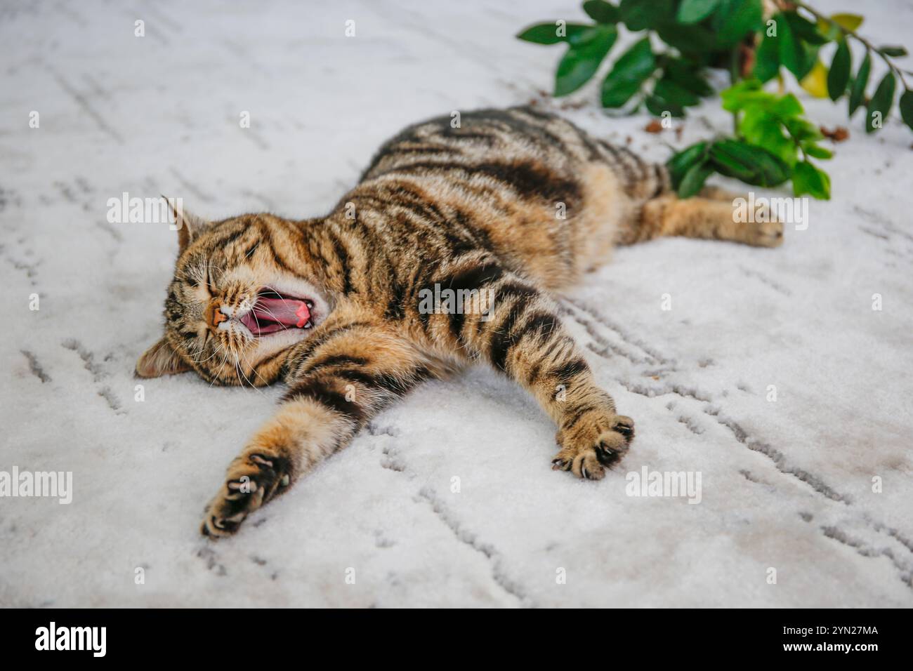 Overturned plant pot hi-res stock photography and images - Alamy