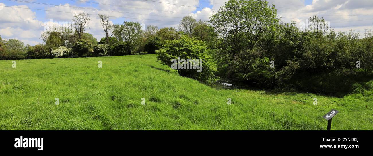 Torpel manor hi-res stock photography and images - Alamy