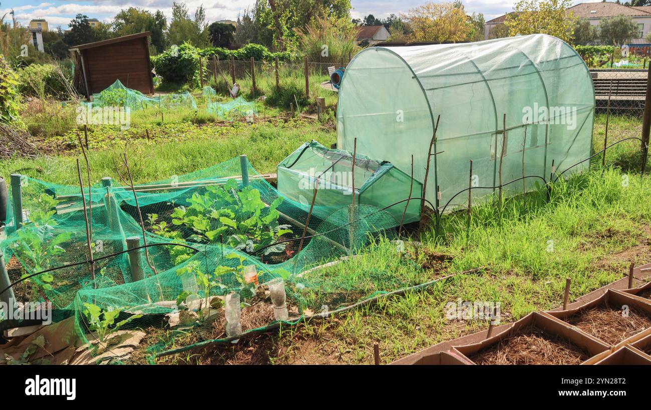 Sustainable farming crop protection nets hi-res stock photography and ...