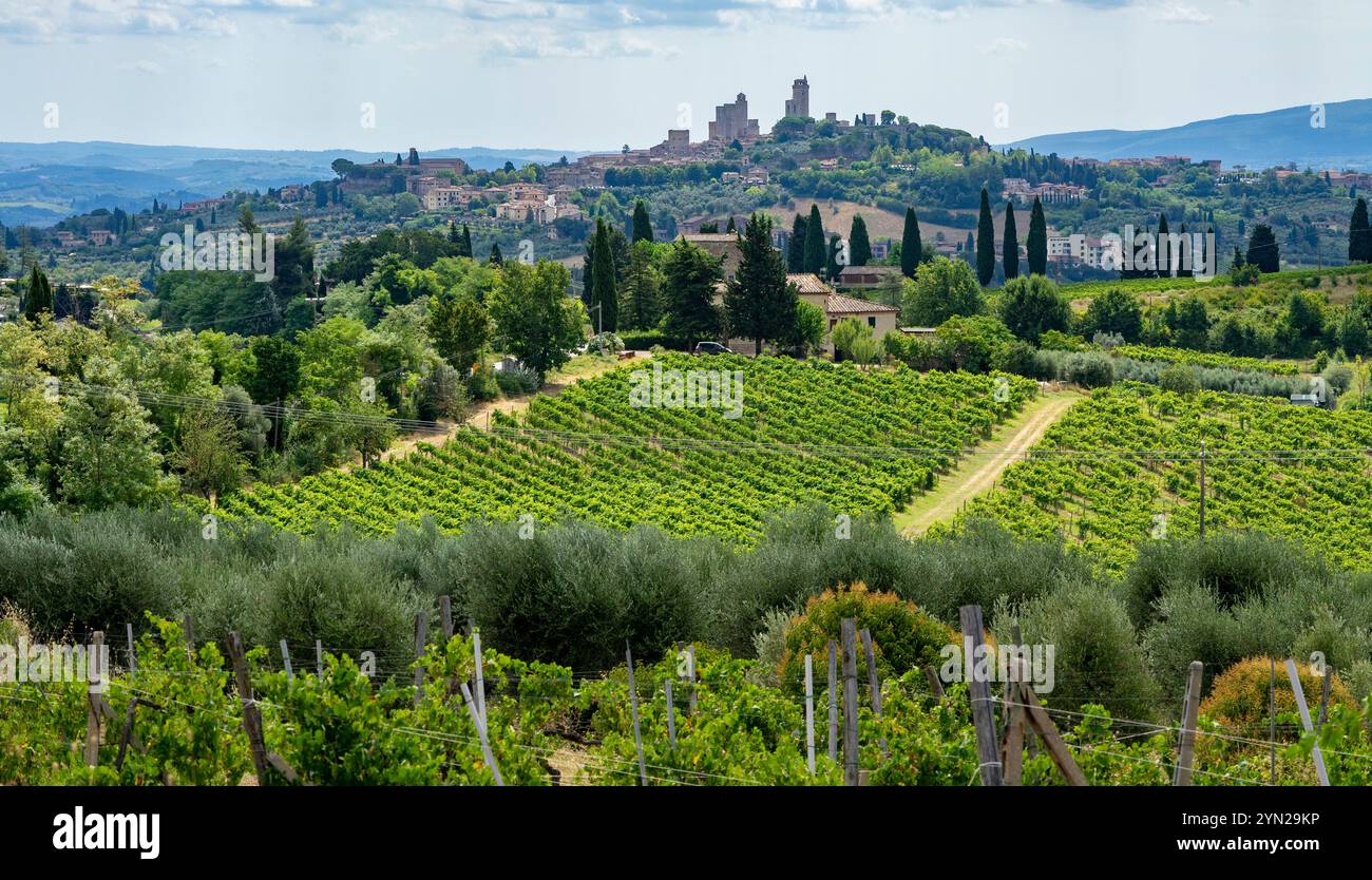 Plant field guide hi-res stock photography and images - Alamy