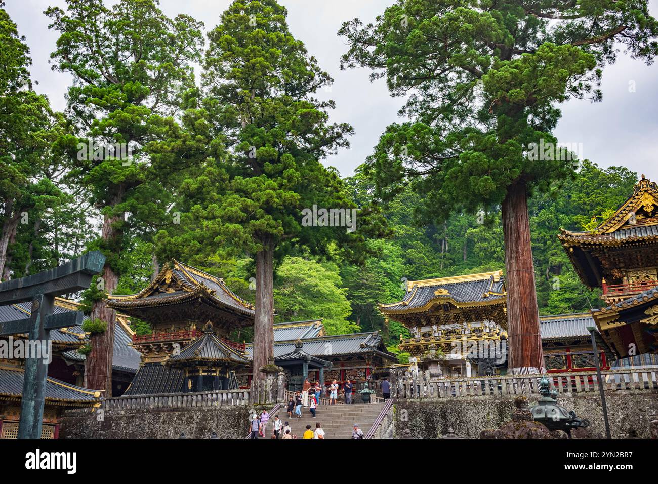 Nikko, Japan, June 16, 2024: The Nikko Toshogu Shrine, is famous for ...