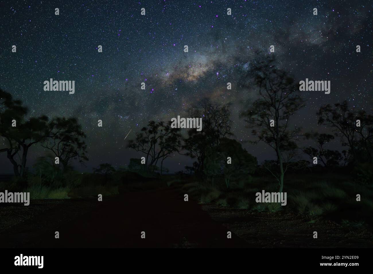 Astrophotography of the Milky Way with Trees Stock Photo - Alamy