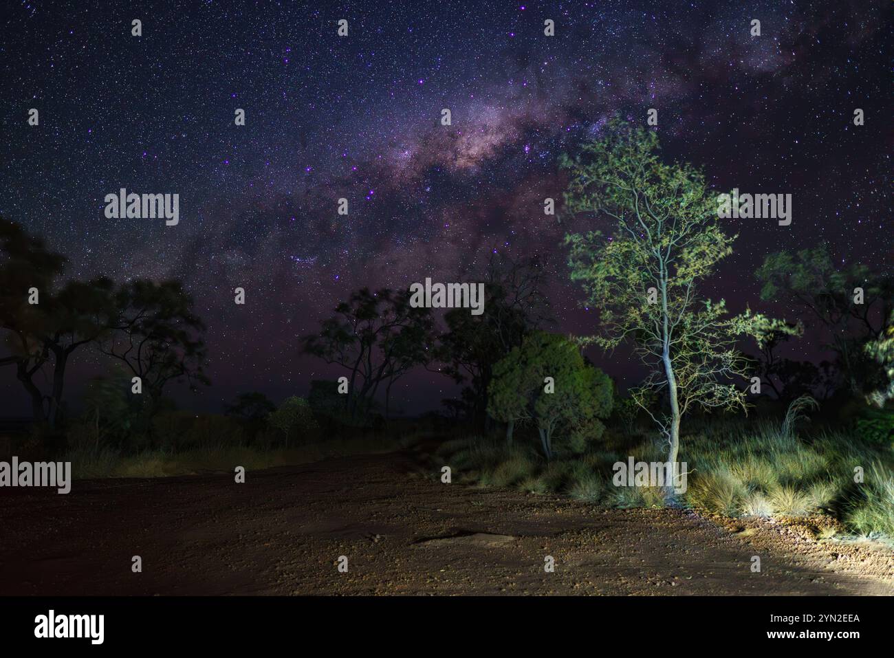 Astrophotography of the Milky Way with Trees Stock Photo - Alamy