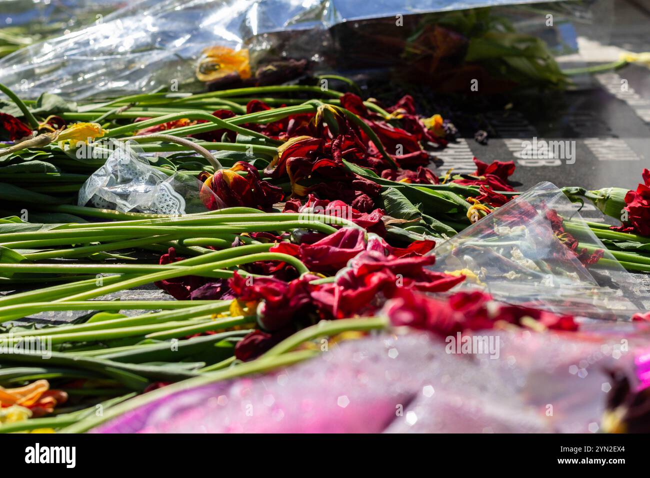 Fallen warrior hi-res stock photography and images - Alamy