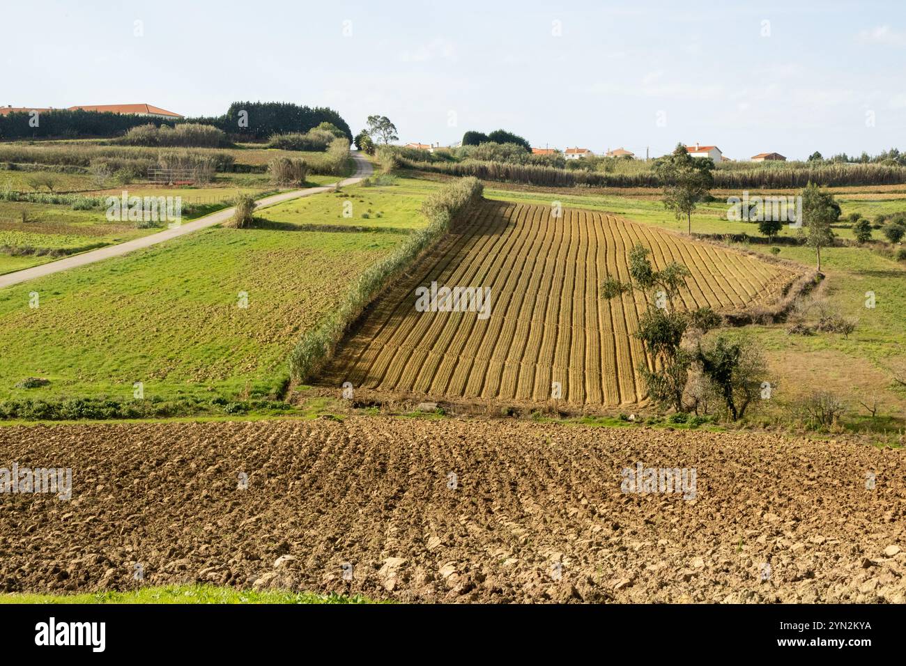 Cultivated fields showing different stages of plowing, creating a ...