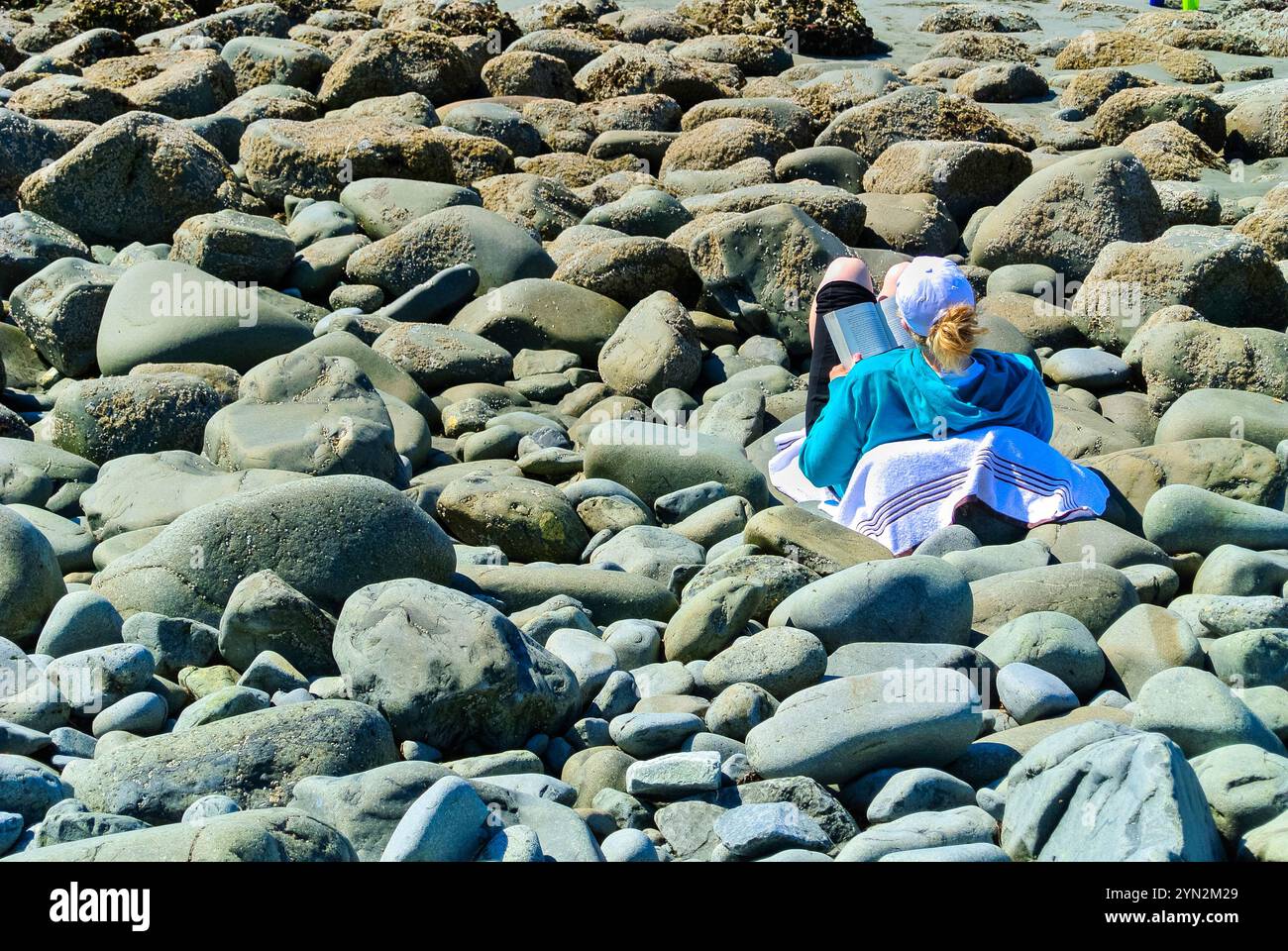 Young alaskan woman reading a book hi-res stock photography and images ...