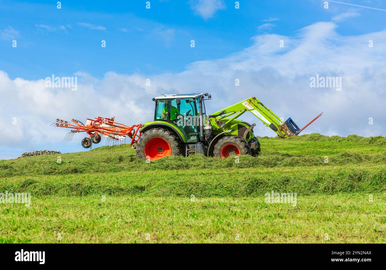Farmer driving his tractor with baler forks and turning the cut hay to ...