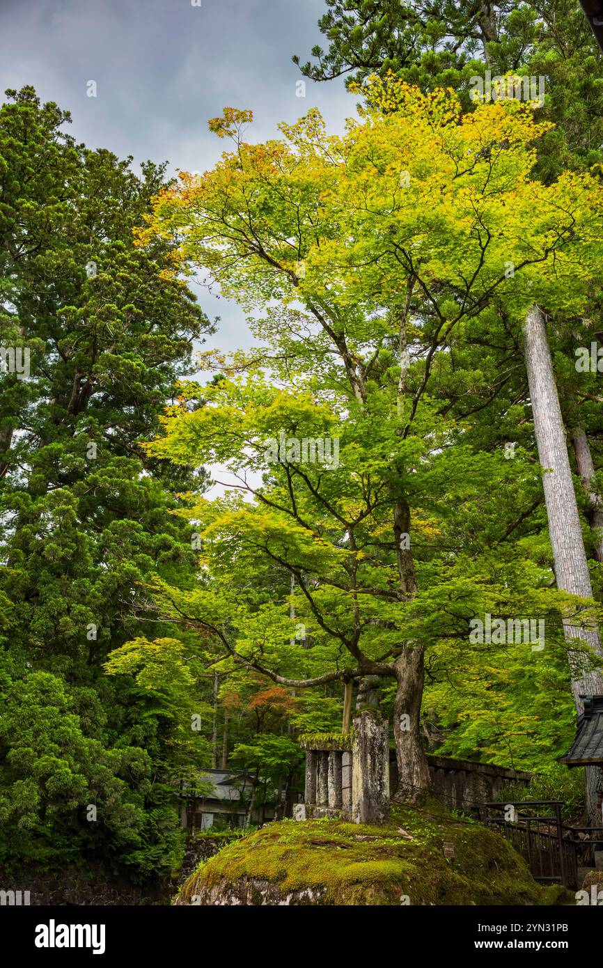 Nikko, Japan, June 16, 2024: The Nikko Toshogu Shrine, is famous for ...