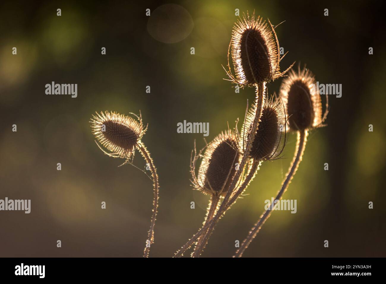 Alciston village hi-res stock photography and images - Alamy