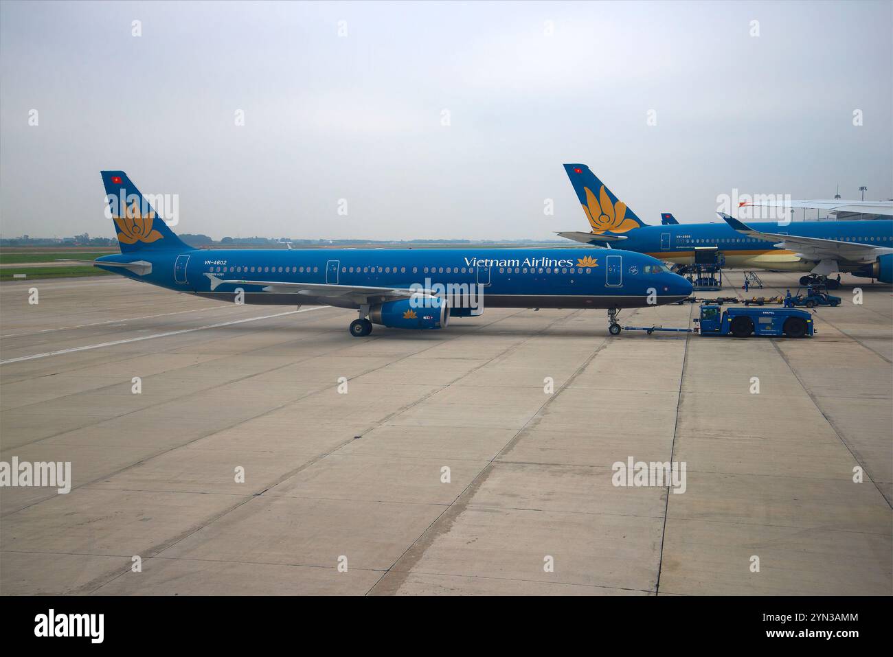 HANOI, VIETNAM - JANUARY 12, 2016: Vietnam Airlines Airbus A321 (VN ...