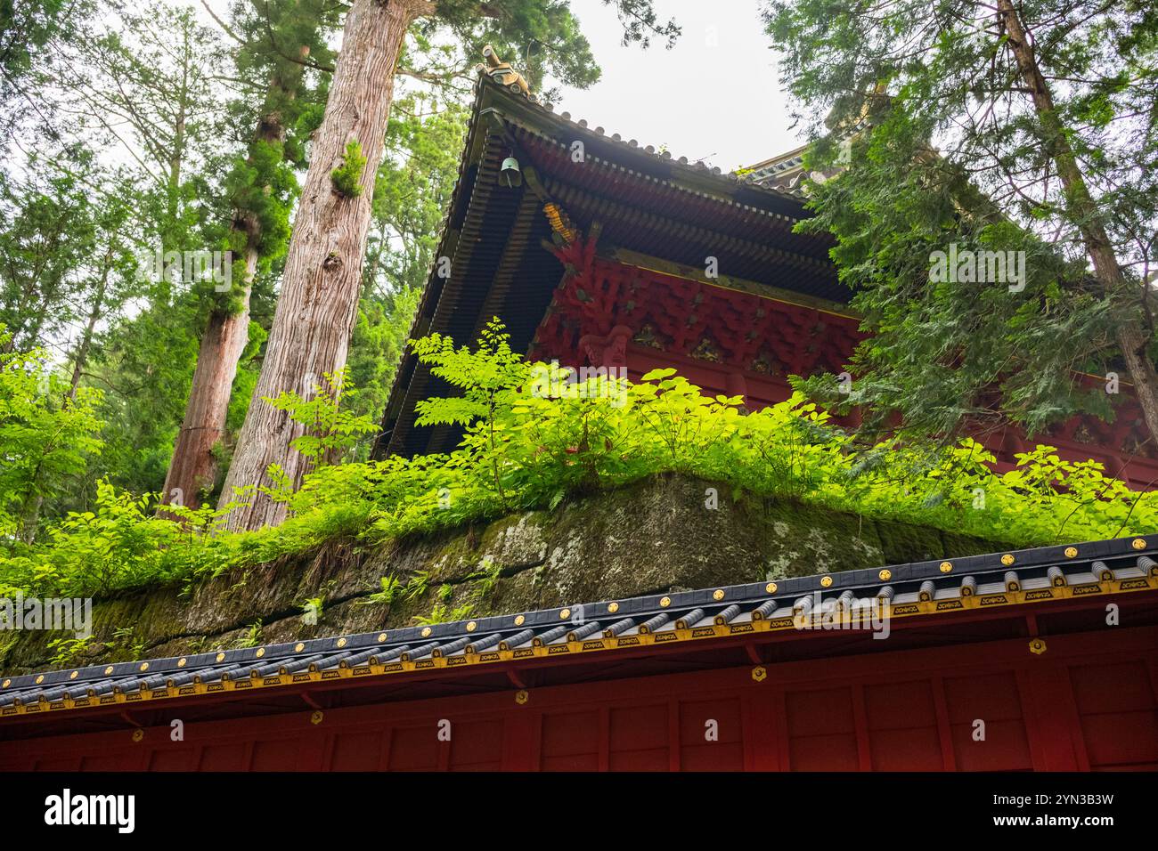 Nikko, Japan, June 16, 2024: The Nikko Toshogu Shrine, is famous for ...