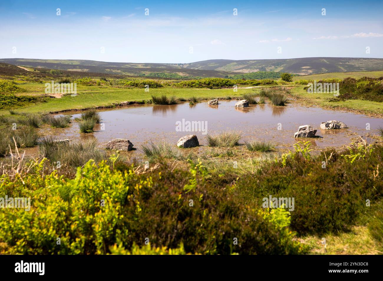 Withyman hi-res stock photography and images - Alamy