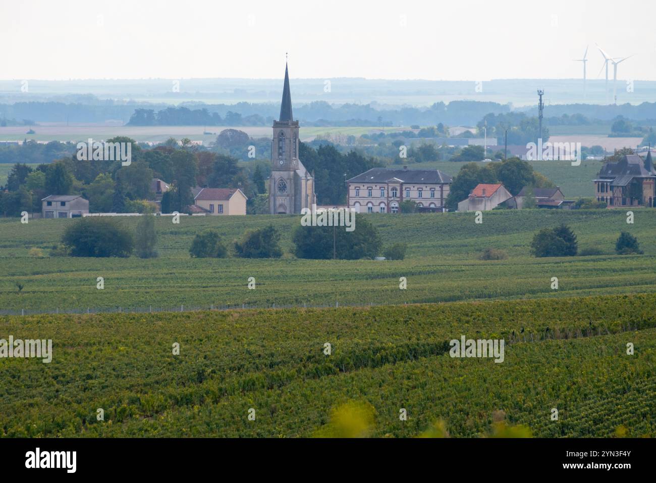 Landscape with grand cru vineyards near Cramant and Avize, region ...