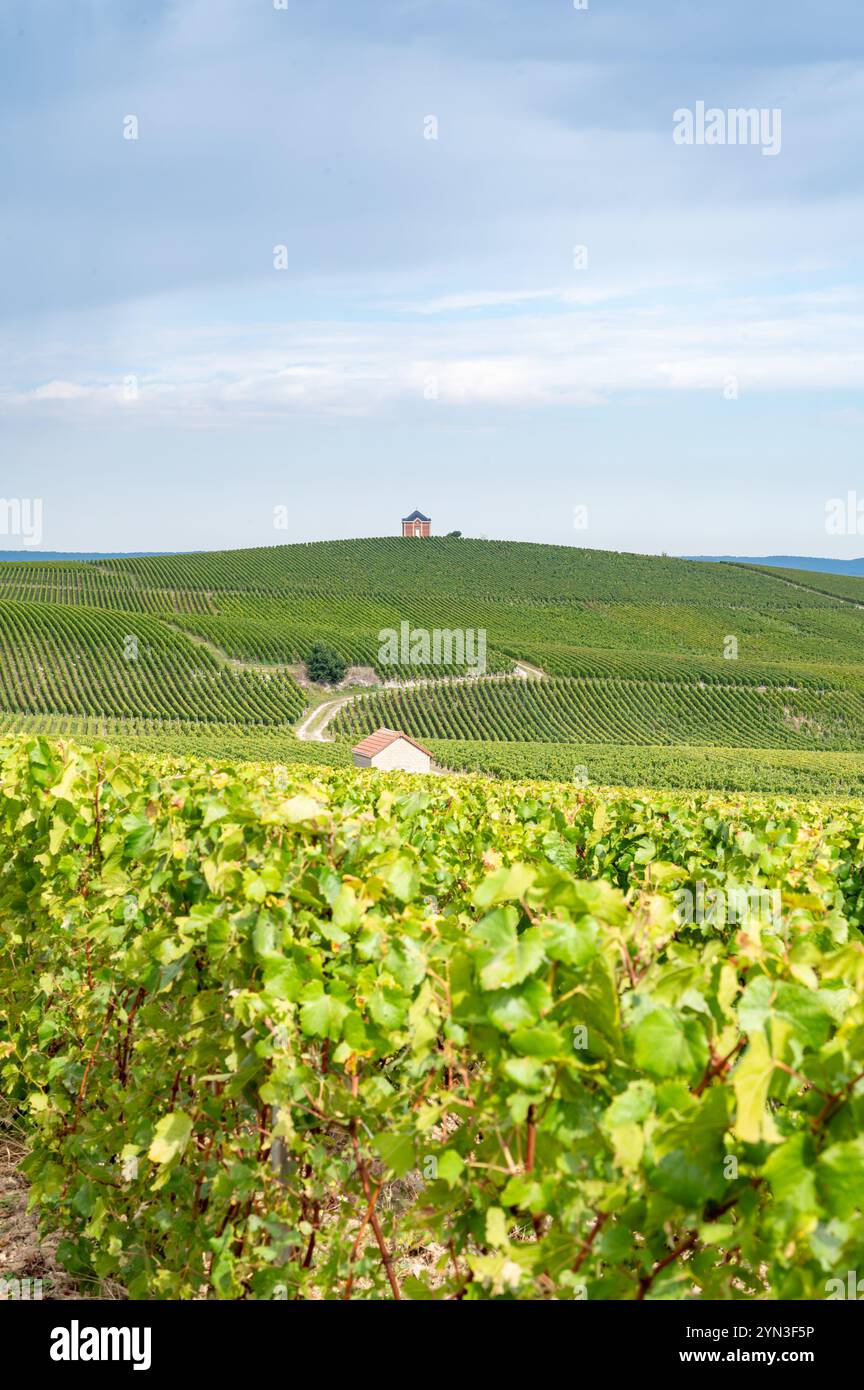 Landscape with grand cru vineyards near Cramant and Avize, region ...