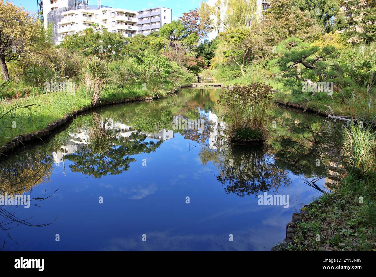 Pond in Mukojima-Hyakkaen Garden, Tokyo, Japan Stock Photo - Alamy